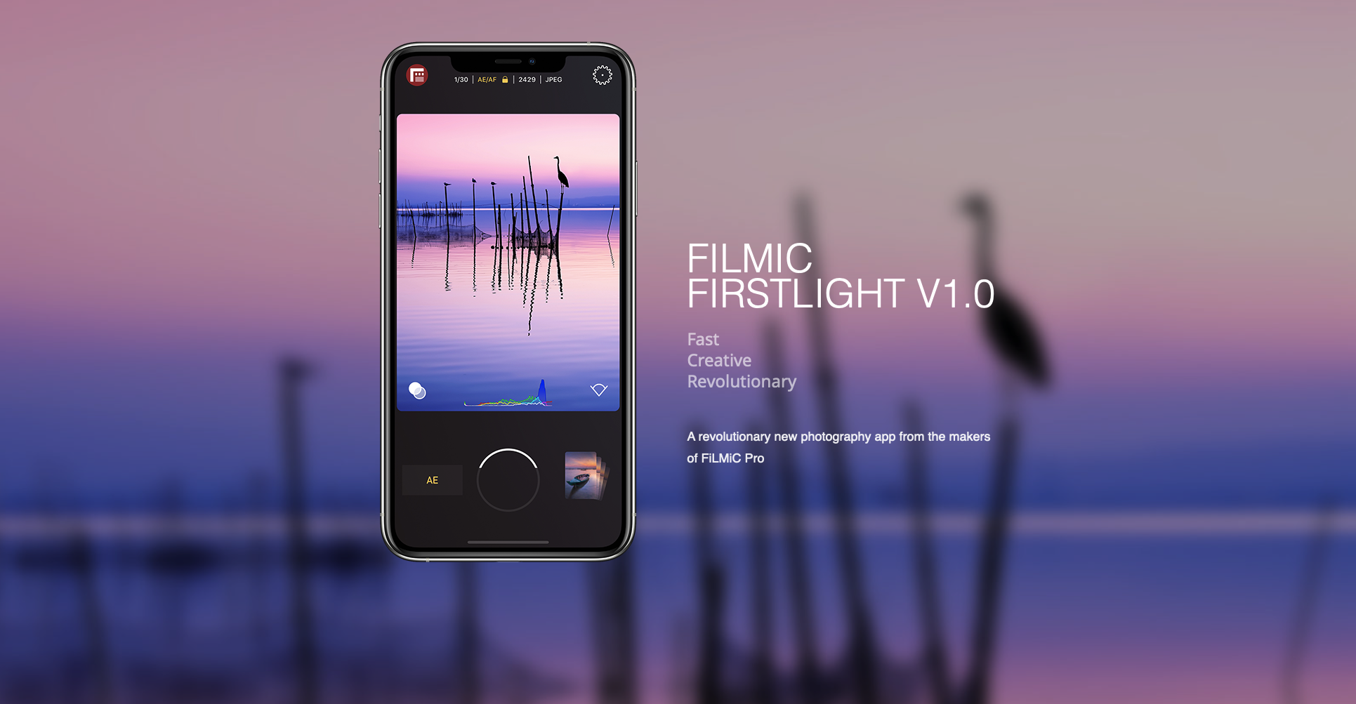 Filmic Jumps Into Still Photography With the New Firstlight App